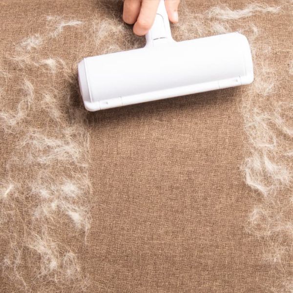 Haarentfernungsroller | FURFIX – vigoexpress.de